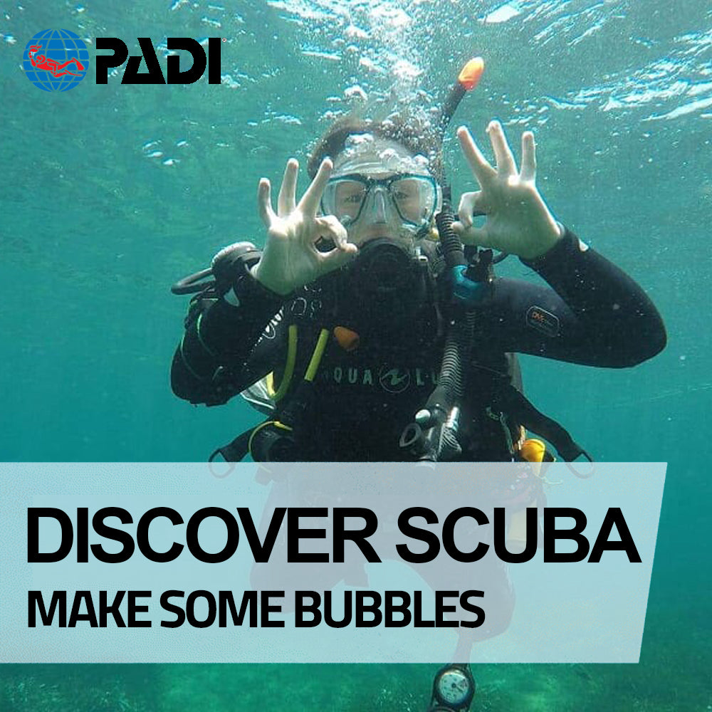 PADI Discover Scuba Diving | Divewise Malta – DiveWise