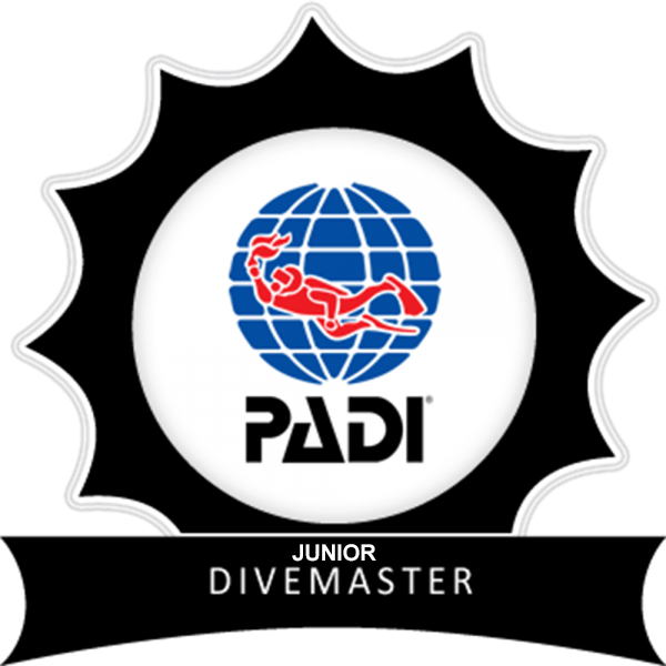 PADI Divemaster (DM) | Divewise Malta – DiveWise